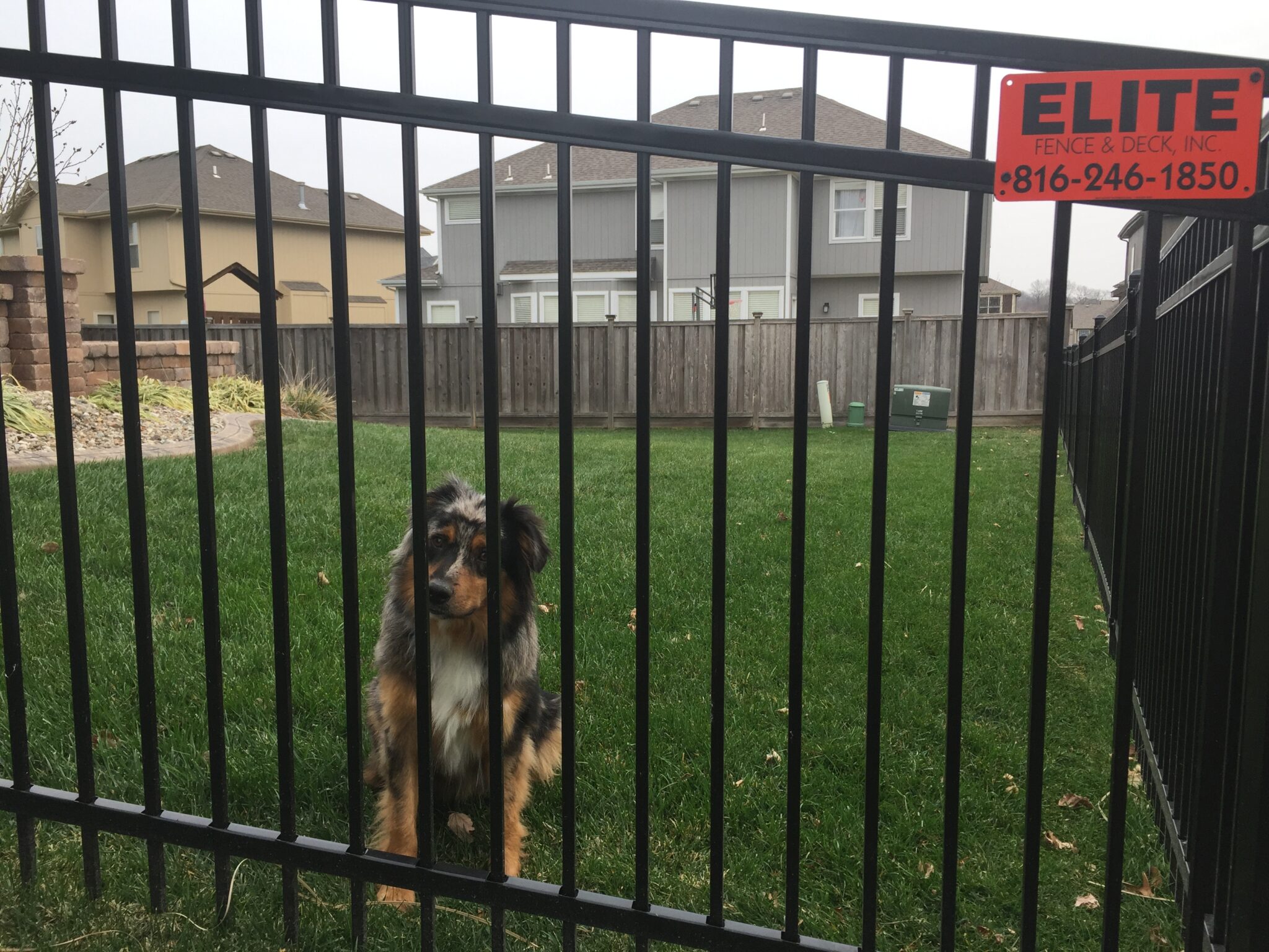 Fence Installation Company - Elite Fence Company